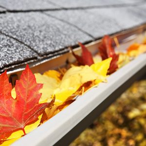 Wilmette, IL | 847 994 4388 | Gutter Cleaning & Downspout Service